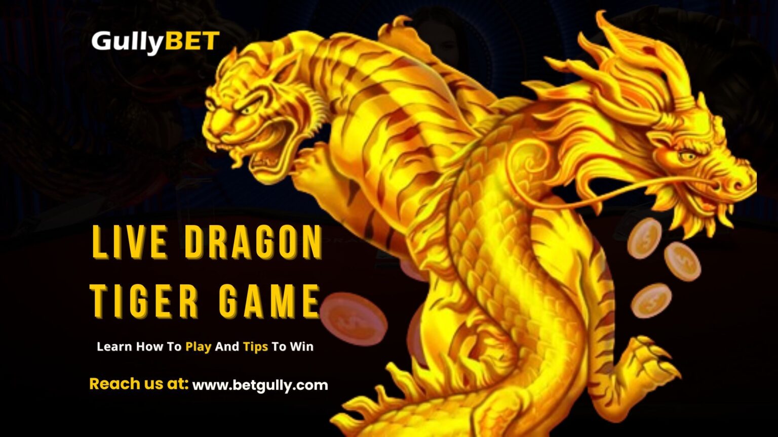 Play Live Roulette Game For Fun & Win Money | GullyBET